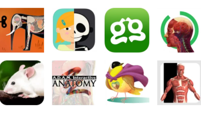 Arloon Anatomy Review for Teachers | Common Sense Education
