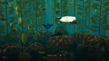 Ocean Forests Review for Teachers | Common Sense Education