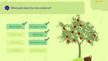 Arloon Plants Review for Teachers | Common Sense Education