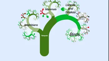 OneZoom Tree of Life Review for Teachers | Common Sense Education