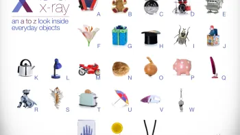 Objects That Start With X